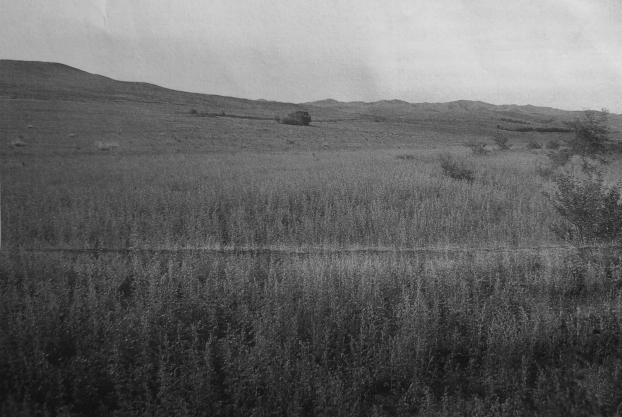 Przyroda a sposób jej artystycznego „użycia” (na podstawie twórczości ...