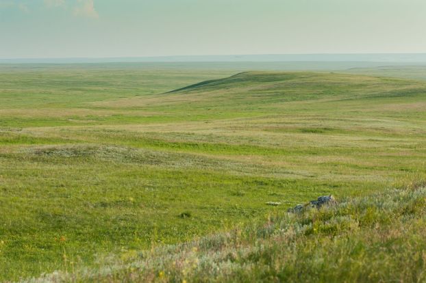 Zapowiedniki stepowe w krajach postradzieckich