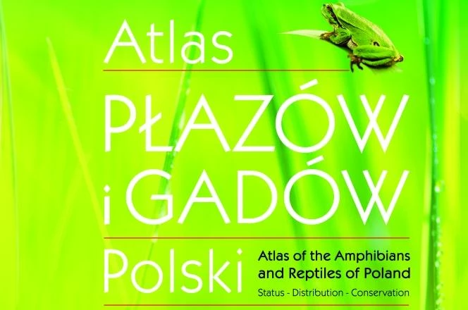 Miesięcznik Dzikie Życie poleca „Atlas płazów i gadów Polski. Status ...
